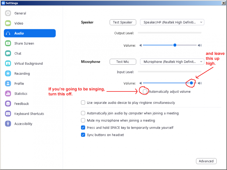 Zoom Settings for Singing